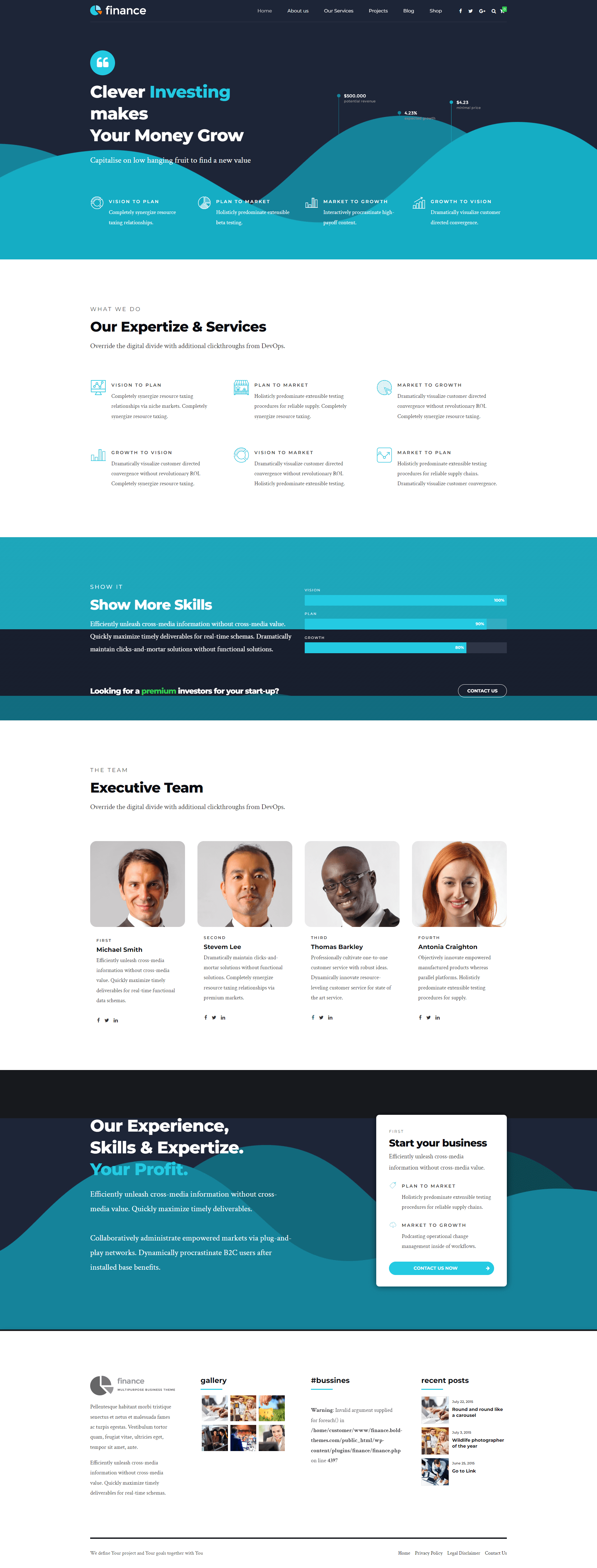 Custom Accounting Website Design and Development Company